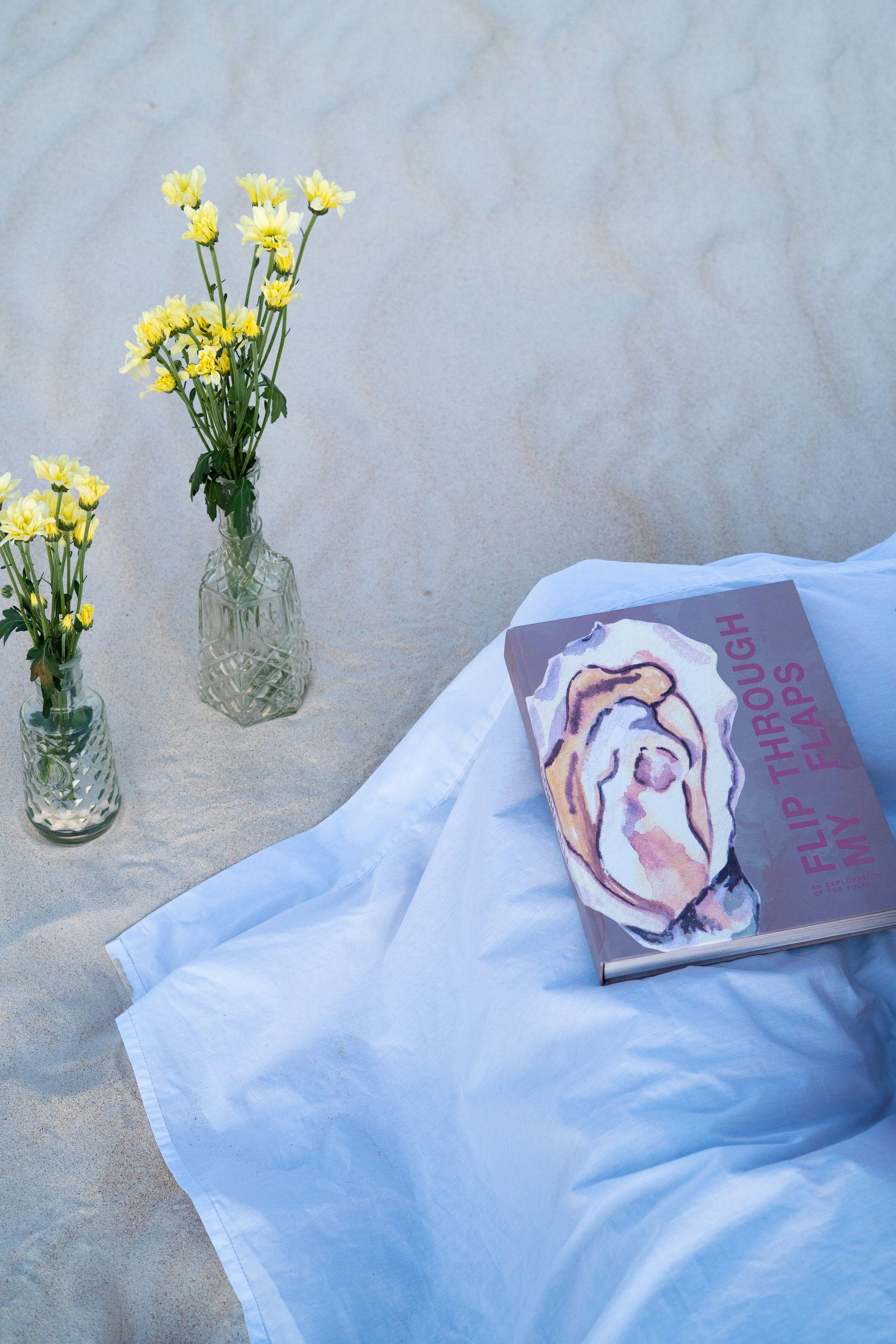 Flip Through My Flaps: An Exploration of the Vulva – Comfortable In My Skin